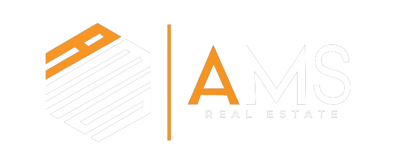 AMS REAL ESTATE BROKERS LLC